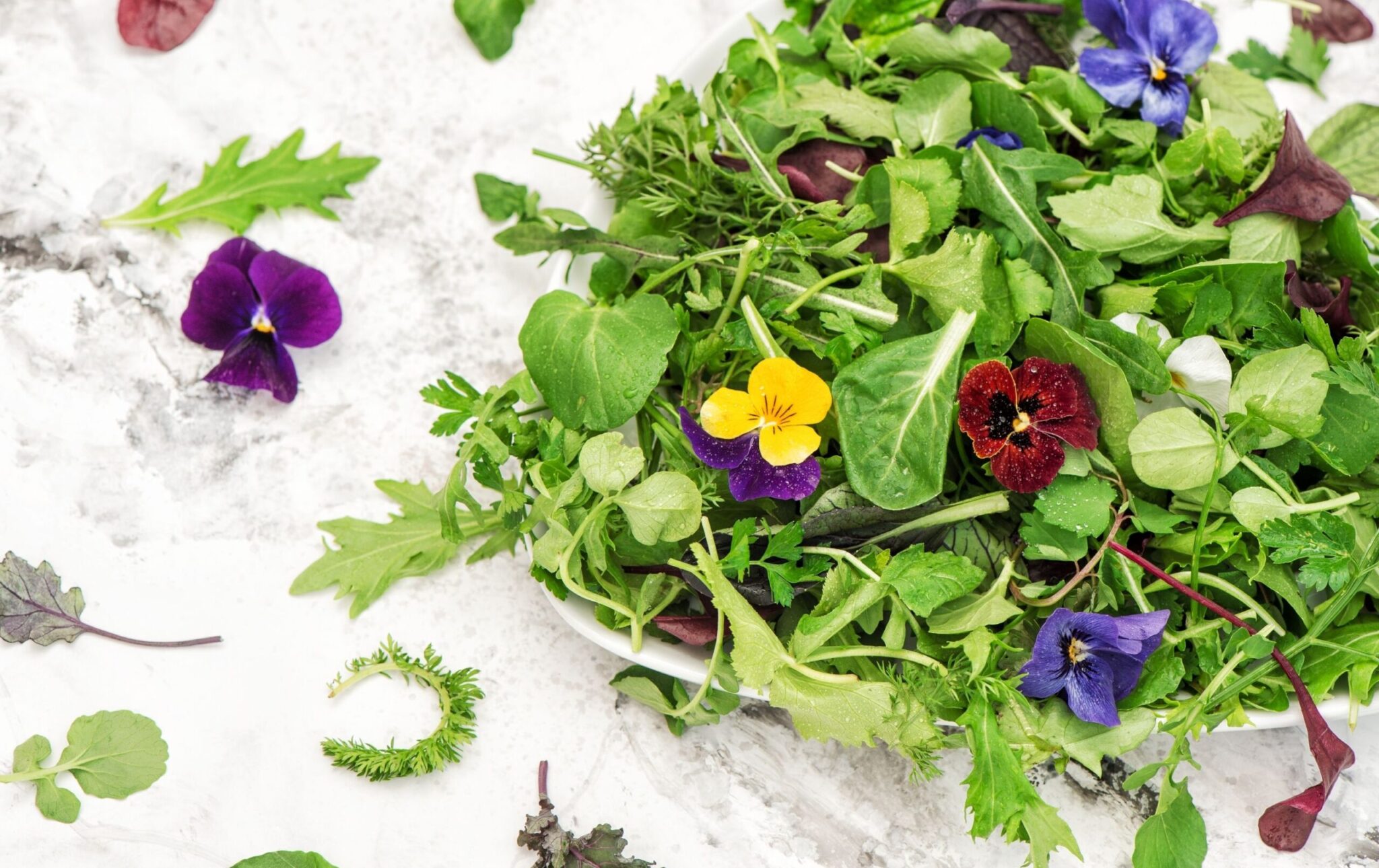 How Pastry Chefs Use Edible Pansy Flowers to Make Beautiful Meals